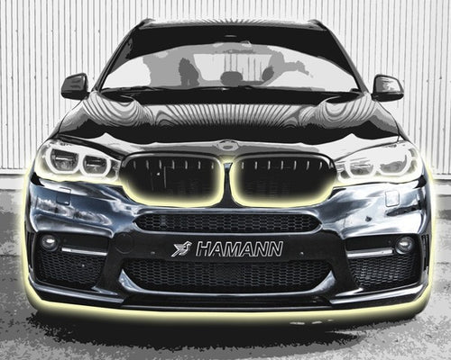 Hamann Front bumper BMW X5 f15 incl. spoiler 10015110-KPL